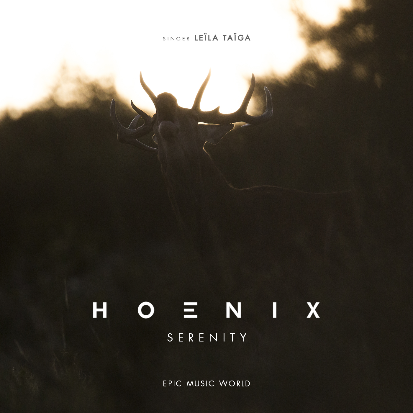 Music Archive - Hoenix